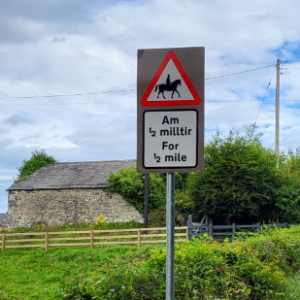 Dragon Signs Of North Wales – Crafting Signs with Fire and Flair